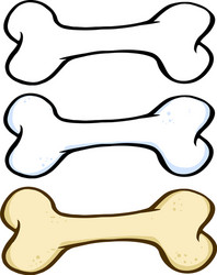 Set of bones Royalty Free Vector Image - VectorStock