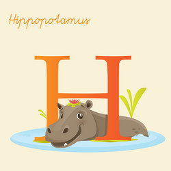 Alphabet isolated letter h-hippo-hat Royalty Free Vector