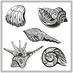 Seashell Shell Helix Vector Images (over 180)