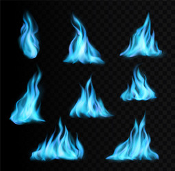Blaze Vector Images (over 47,000)