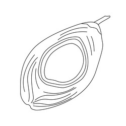 Coconut Line Art Vector Images (over 3,600)