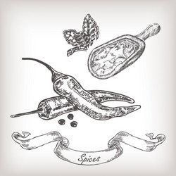 Chili Garlic Vector Images (over 4,300)