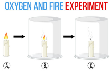 Science experiment with oxygen and fire Royalty Free Vector