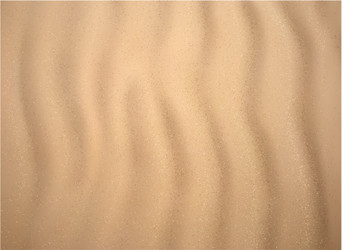 Sand texture background with palm leaves Vector Image