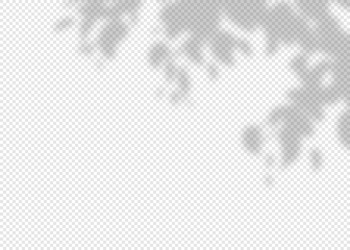 Shadow overlay of palm tree branches Royalty Free Vector