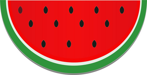One piece watermelon on white background Vector Image