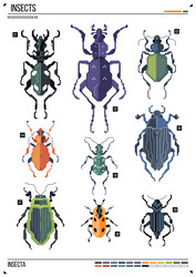 Geometric bug or beetle insect on poster Vector Image