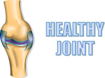 Joint Vector Images (over 43,000)