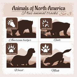 Animal footprints - north american animals Vector Image