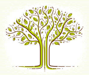 Beautiful tree linear style drawing logo or icon Vector Image