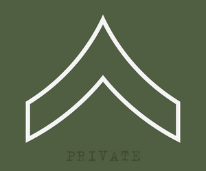 Military ranks and insignia stripes chevrons Vector Image
