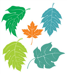 Watermelon plant leaves flat Royalty Free Vector Image