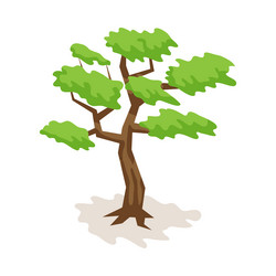 Safari Tree Vector Images (over 16,000)