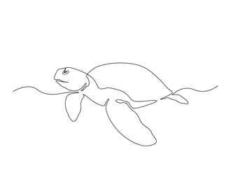 One Line Turtle Vector Images (over 200)