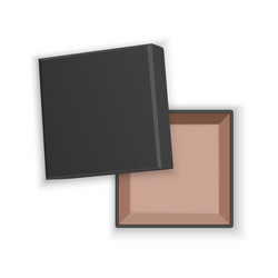 Realistic red open empty square cardboard box Vector Image