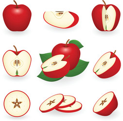 Apple Vector Images (over 230,000)