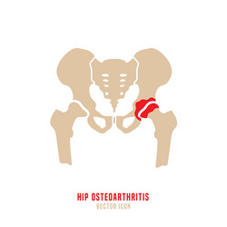 Pelvis icon hip joint the structure of human Vector Image