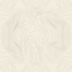 Abstract topographical map Royalty Free Vector Image