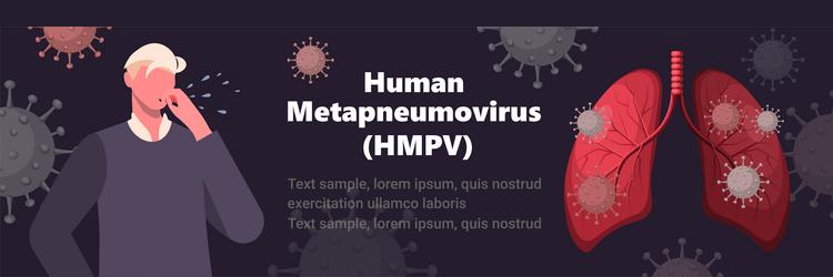 Human metapneumovirus hmpv Royalty Free Vector Image