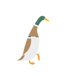 Female Runner Silhouette Vector Images (over 1,600)