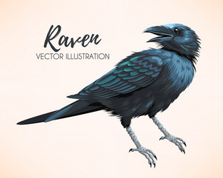 Raven Vector Images (over 7,700)