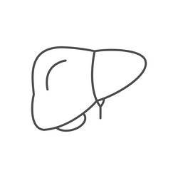 Human liver line outline icon Royalty Free Vector Image