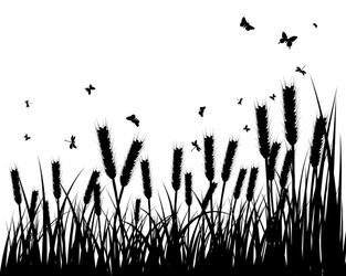 Wheat Grass Vector Images (over 5,700)