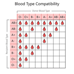 Red blood cell compatibility chart diagram medical