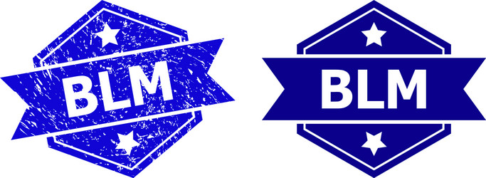 Blm Vector Images (over 820)