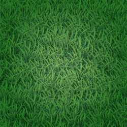 Green grass texture seamless pattern Royalty Free Vector