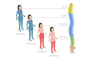 Paralysis Vector Images (over 940)