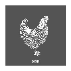 Chicken Vector Images (over 190,000)