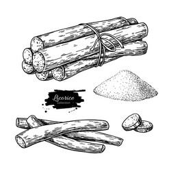 Licorice Root Drawing Vector Images (28)