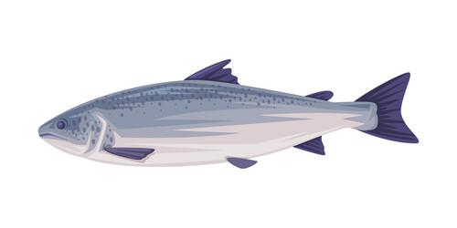 Native Salmon Vector Images (72)