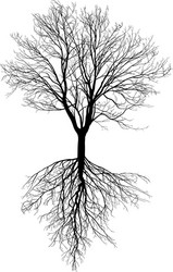 Bare Trees Vector Images (over 3,800)