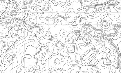 Ocean bottom topographic line map curvy wave Vector Image