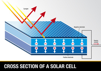 Cross section view showing parts of solar panel Vector Image