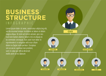 Business structure infographic tree infographic Vector Image