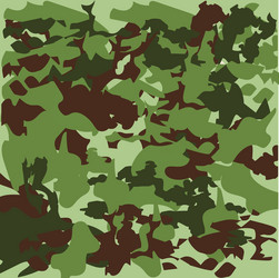 Camouflage Swamp Pattern Vector Images (over 170)