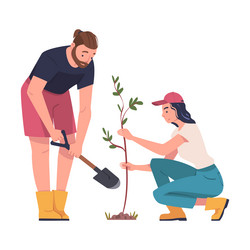 Man and woman character planting tree sapling Vector Image