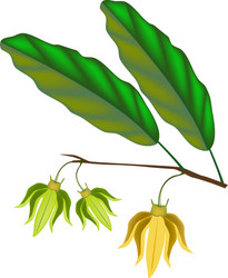 Rumdul Vector Images (over 140)