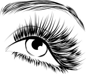 Female eyes drawing long eyelashes Royalty Free Vector Image