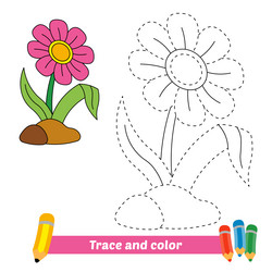 Trace and color for kids flower Royalty Free Vector Image