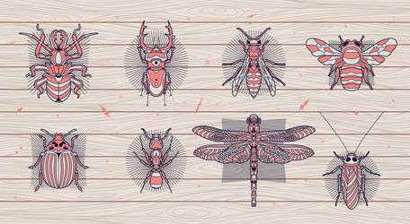 Abstract insects Royalty Free Vector Image - VectorStock
