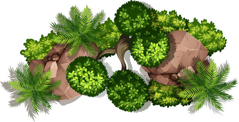 Aerial Plants Vector Images (over 2,000)