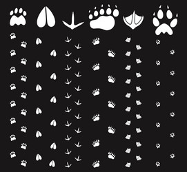 Paw print Royalty Free Vector Image - VectorStock