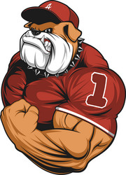 Angry dog bodybuilder Royalty Free Vector Image