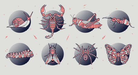 Abstract insects Royalty Free Vector Image - VectorStock