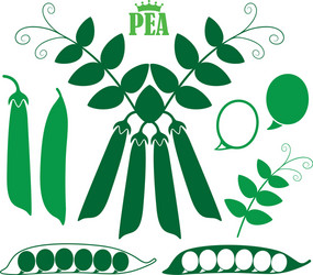 Green peas in pods isolated on white background Vector Image