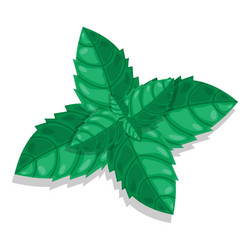 Mouthwash blue color with green mint leaf cartoon Vector Image